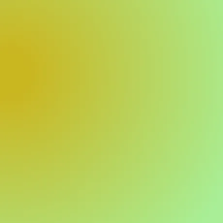 Lizzy Zhang | Observable