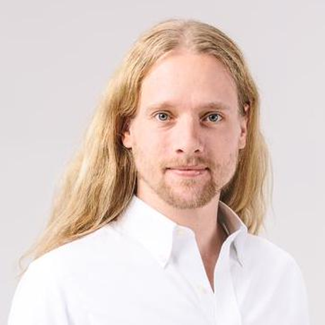 Ludwig Schubert | Observable