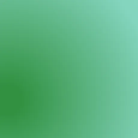 Hailey Romey's Workspace | Observable