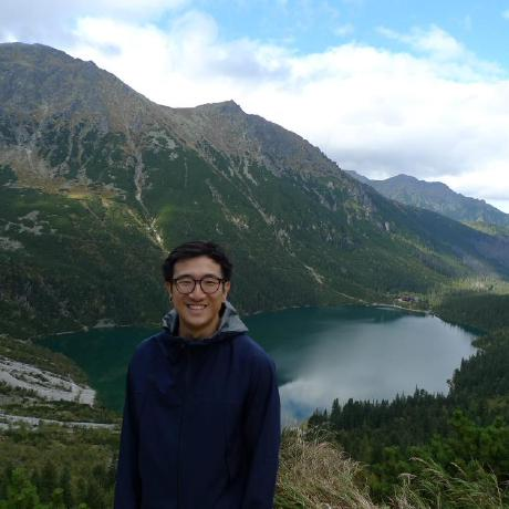 Dominic Lee Observable