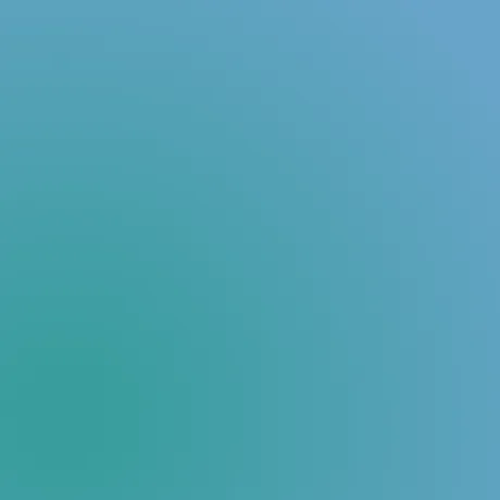 sally Shi | Observable