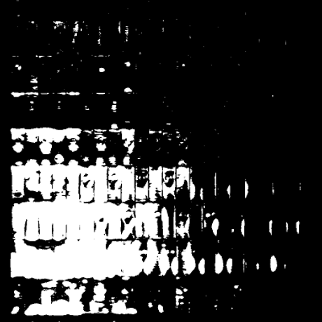 Sebastian Gottwald | Observable