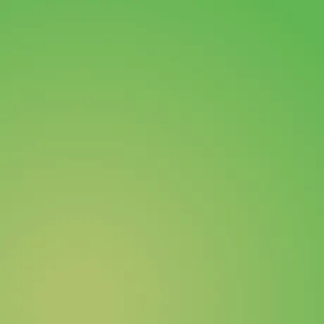 Carol Zhu | Observable