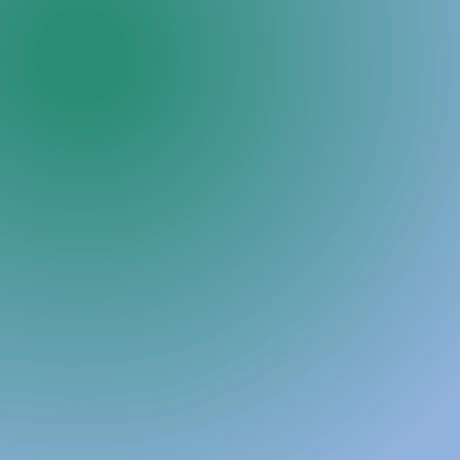 Jobenil Luiz Magalhães Júnior's Workspace | Observable