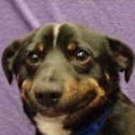 Tiffany Shin | Observable