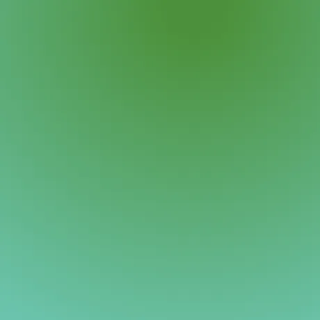 Tess Phillips's Workspace | Observable