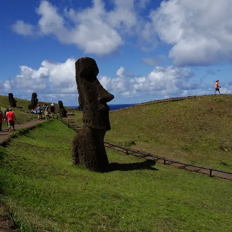 CSI data vis | Observable