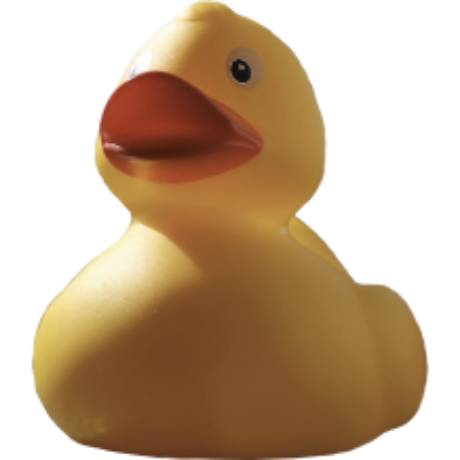 Ethan Ruhl | Observable